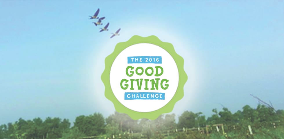 Good Giving Challenge - GreenHouse17