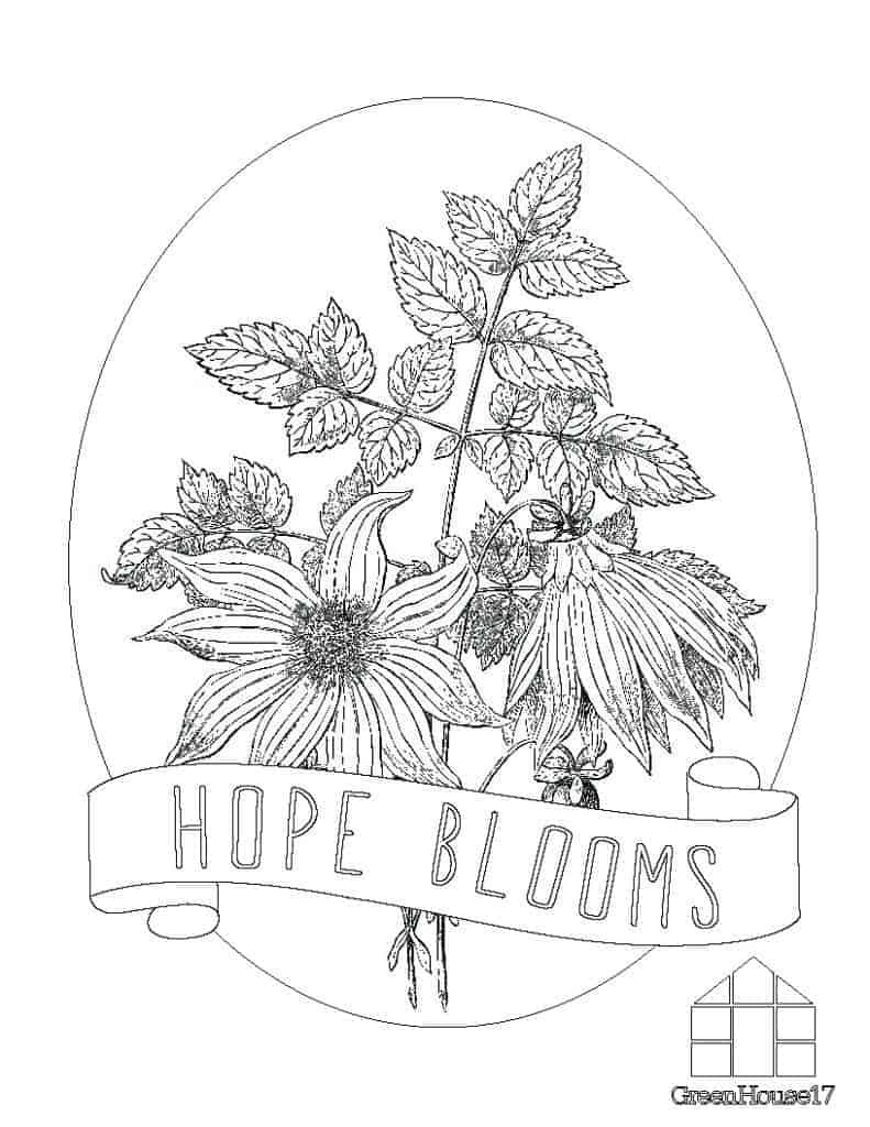 Hope Blooms Coloring Pages - GreenHouse17