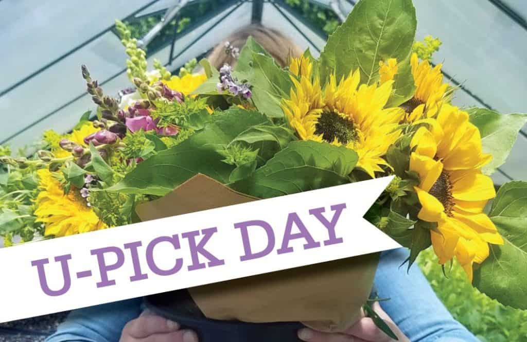 U-Pick Day on the Farm - GreenHouse17