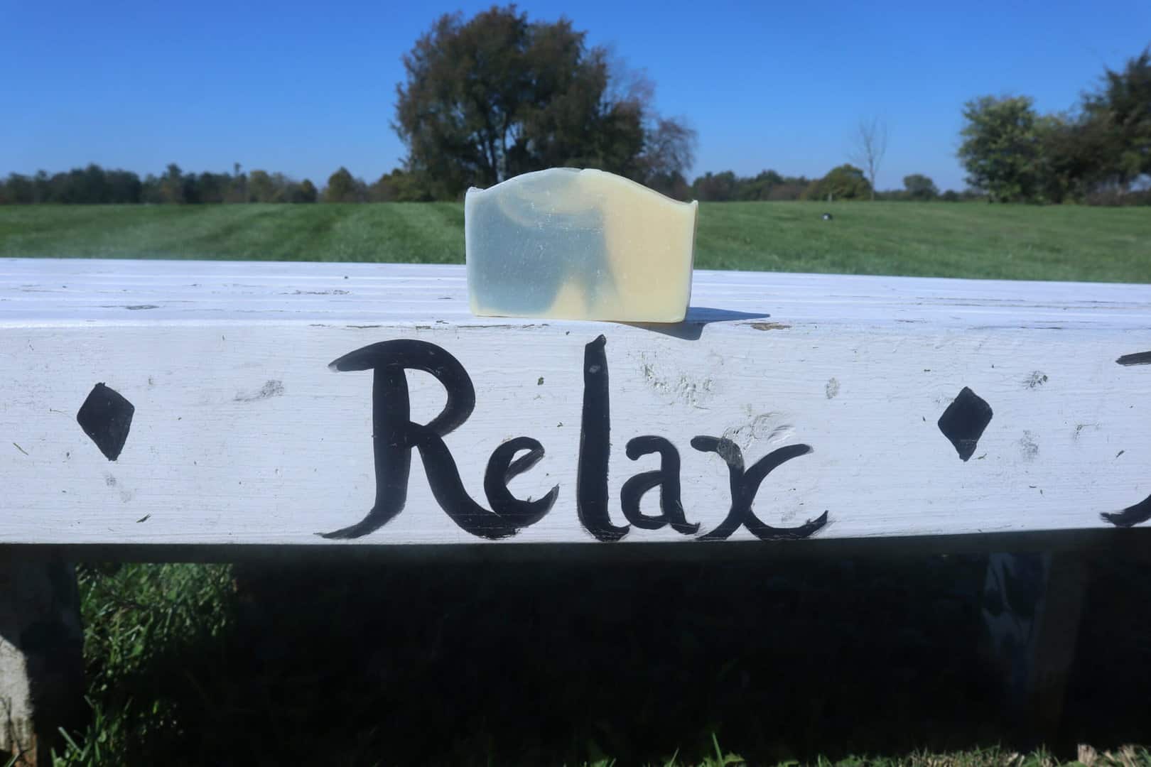 Fall Merch & Products - GreenHouse17